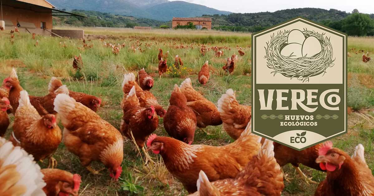 HUEVOS ECOLÓGICOS VERECO