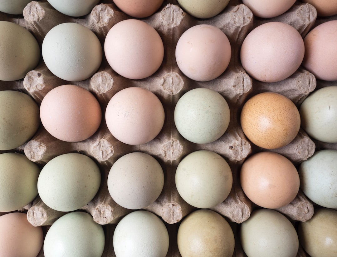 La Importancia de Elegir Huevos Ecológicos para el Medio Ambiente ...